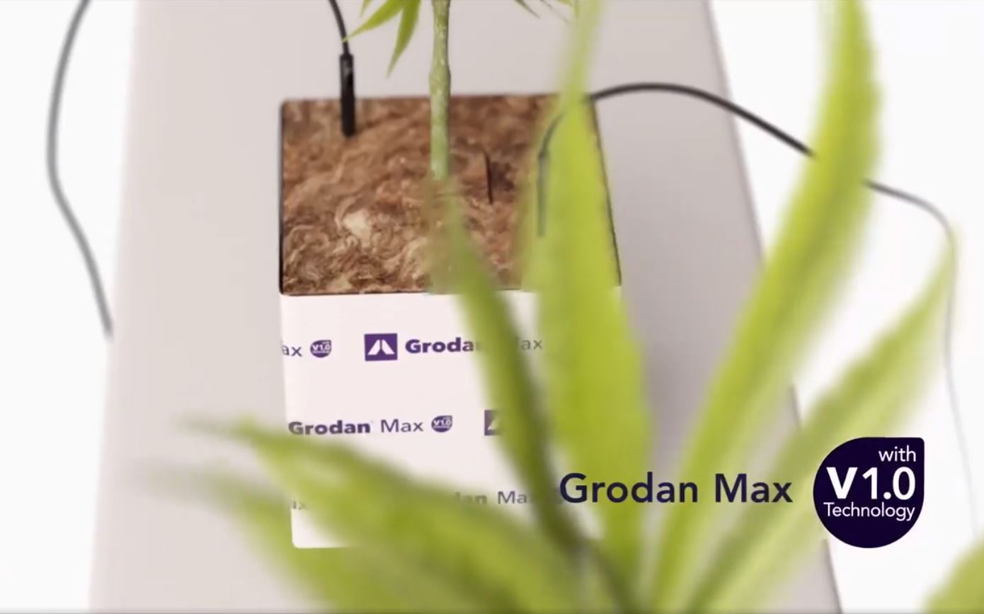 Grodan® MAX – ΕΠΙΣΗΜΗ ΠΑΡΟΥΣΙΑΣΗ ΤΟΥ ΕΙΔΙΚΟΥ ΚΥΒΟΥ ΓΙΑ SPECIALTY ...