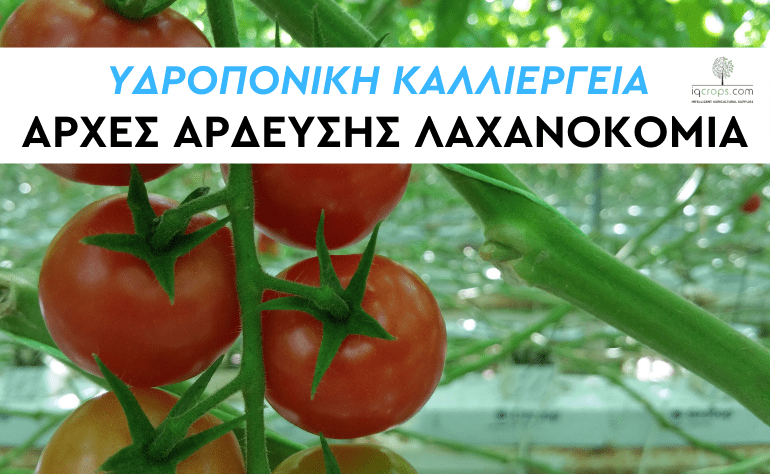 Βασικές Οδηγίες Προγραμματισμού Άρδευσης Υδροπονίας