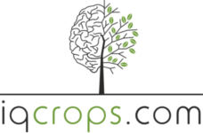 Λιπάσματα – IQ Crops