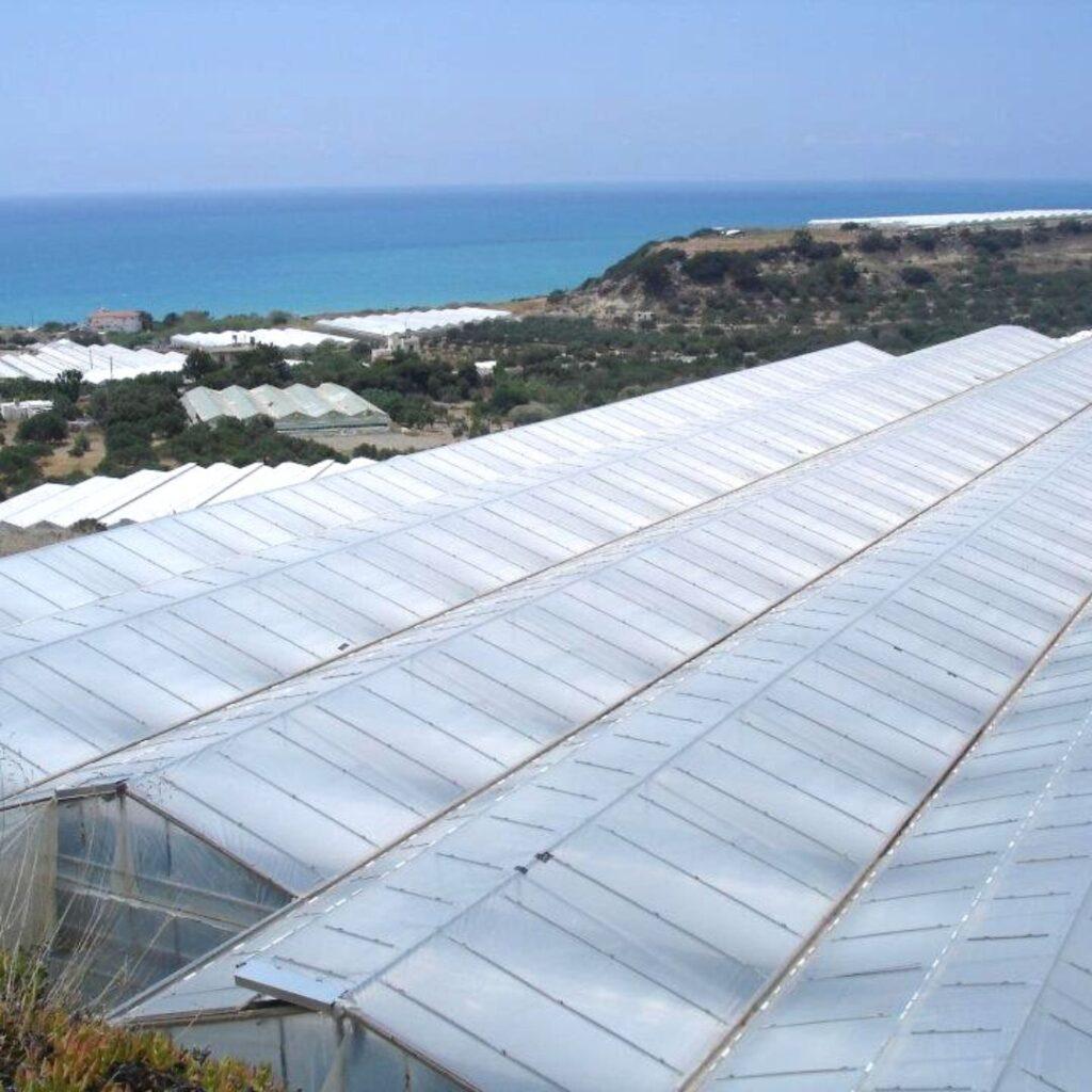 Drika Farm