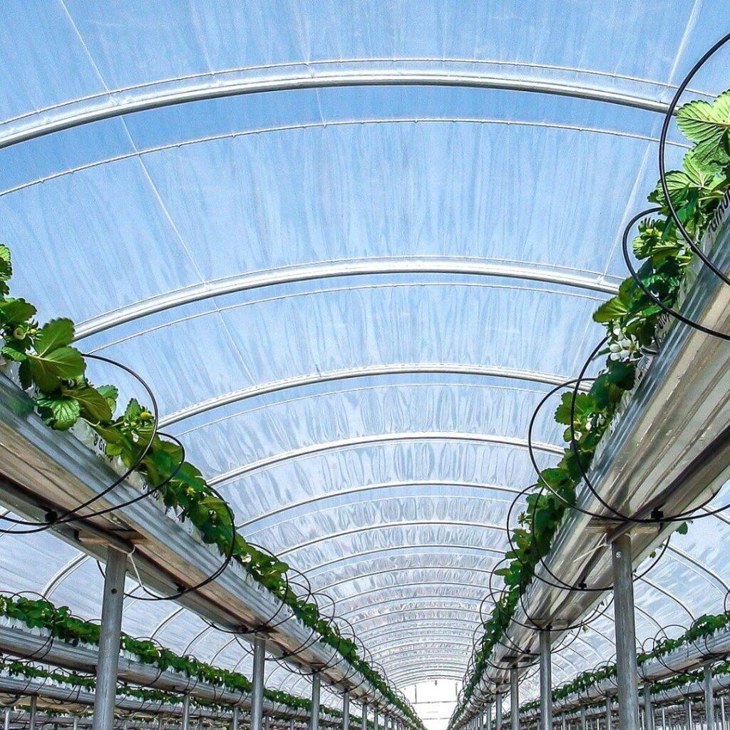 Tsachalos Green Trade