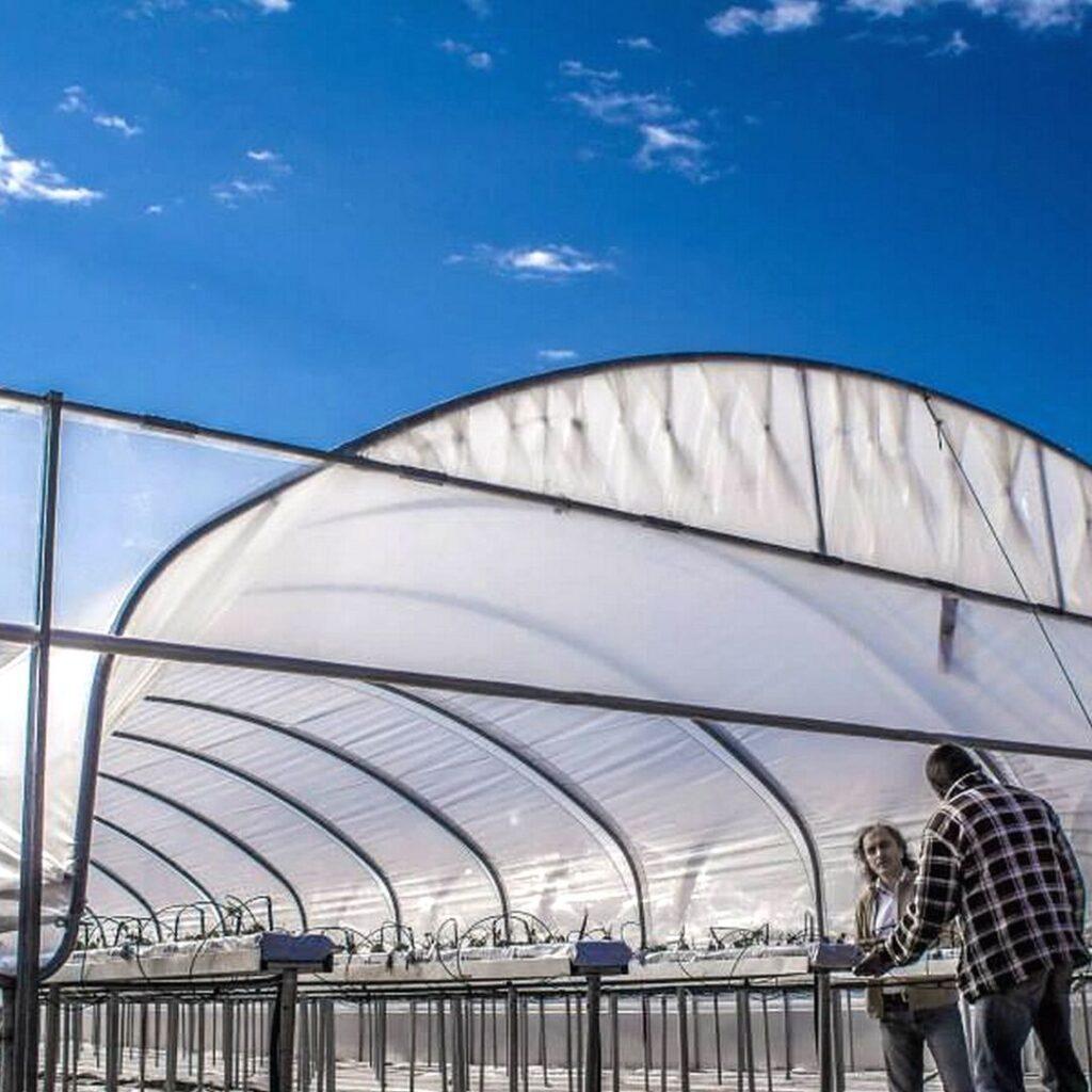 Tsachalos Green Trade