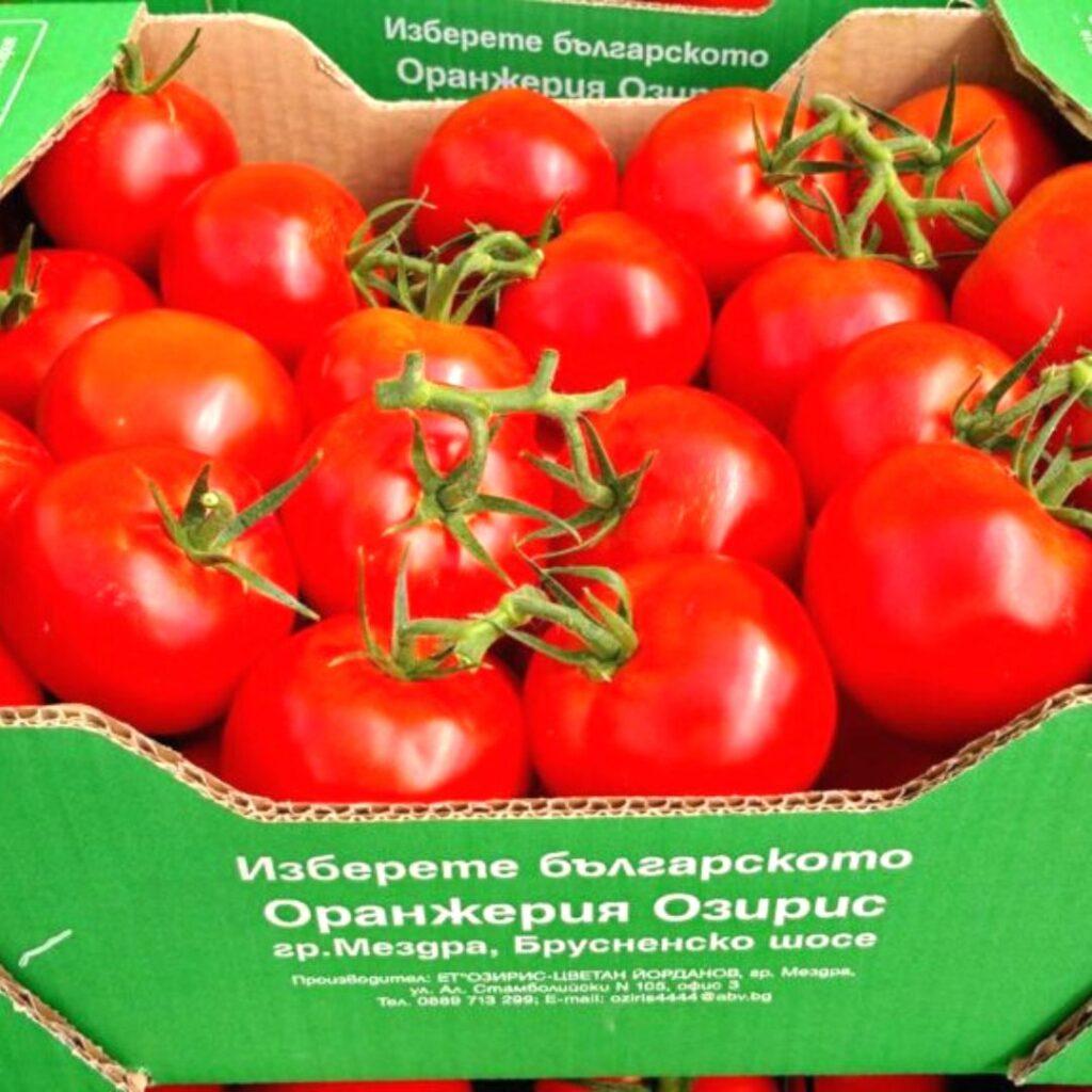 Oziris Hydroponic Greenhouses